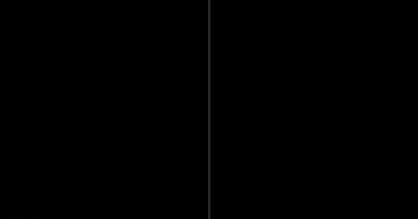 Tecido Rolô Blackout Pinpoint Black/Black 2,50m